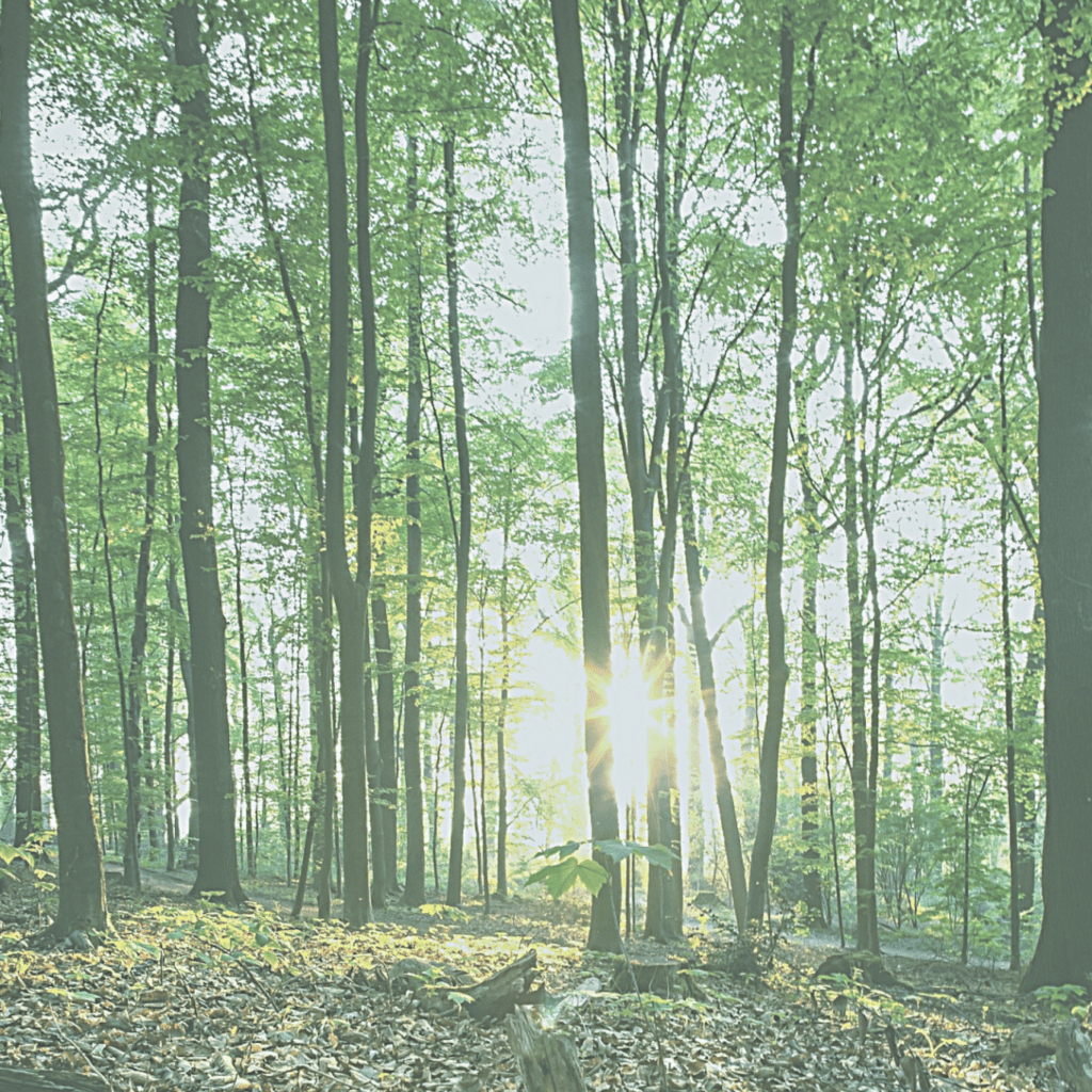 H2R CPA | Vision, Mission and Core Values | Pittsburgh Accounting